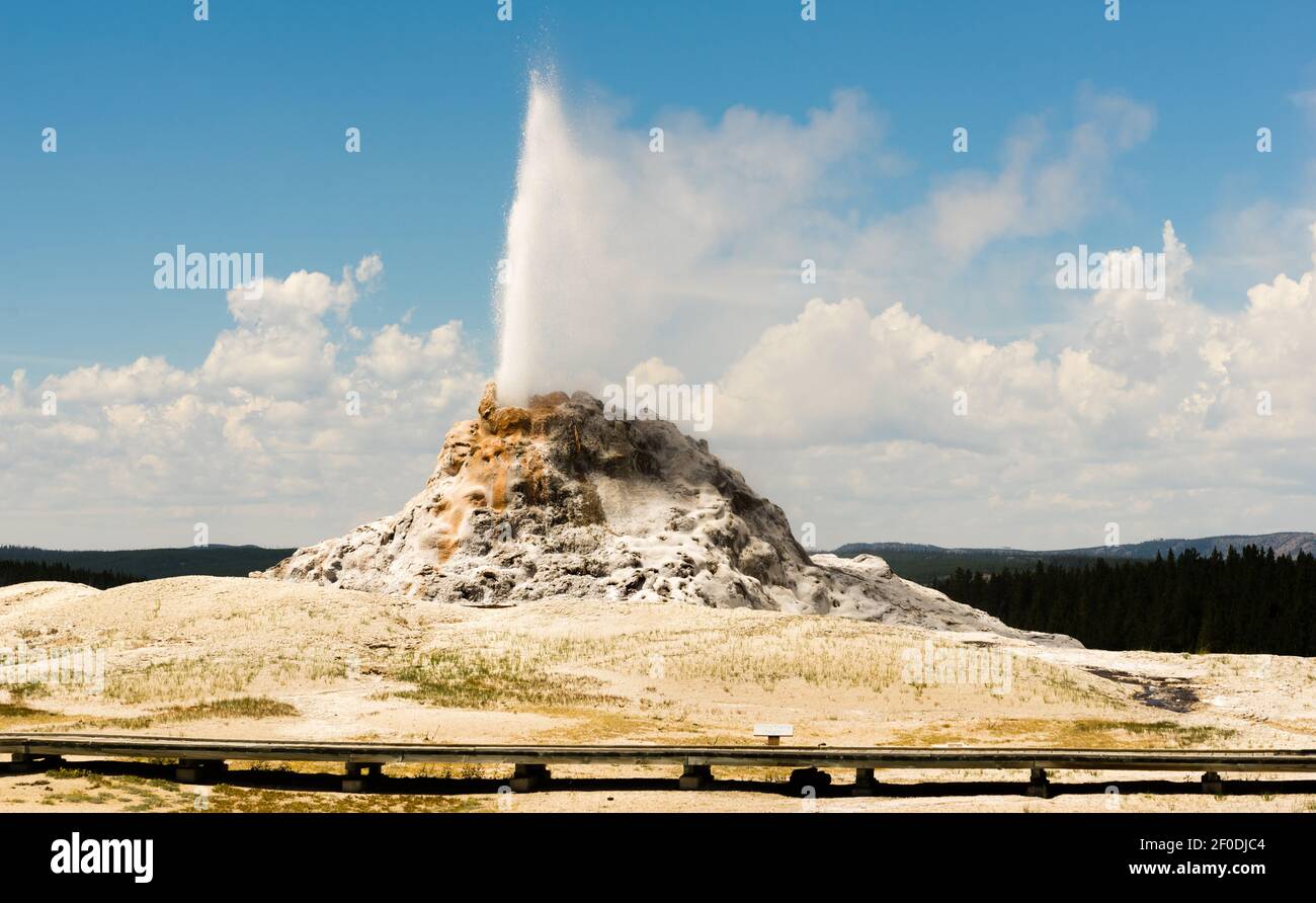 White Dome Geyser Erupting Yellowstone National Park Geothermal ...