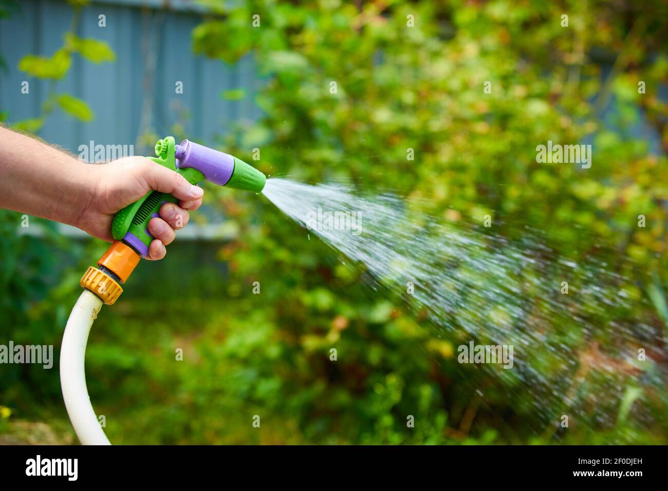 Person watering the lawn with hose hi-res stock photography and images ...