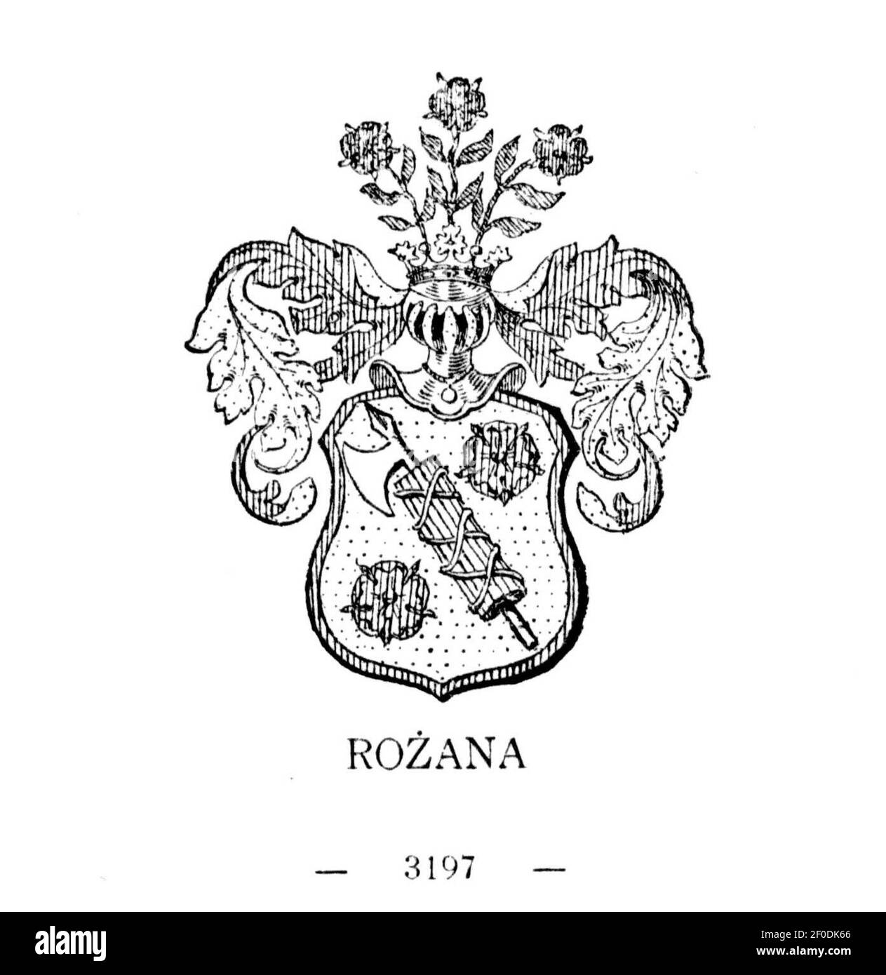 Rozana hi-res stock photography and images - Alamy