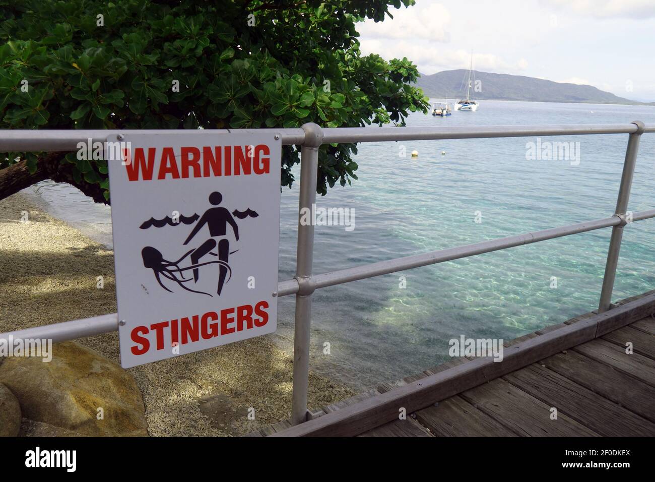 Sign warning of marnie stingers in the water, Fitzroy Island, Great ...