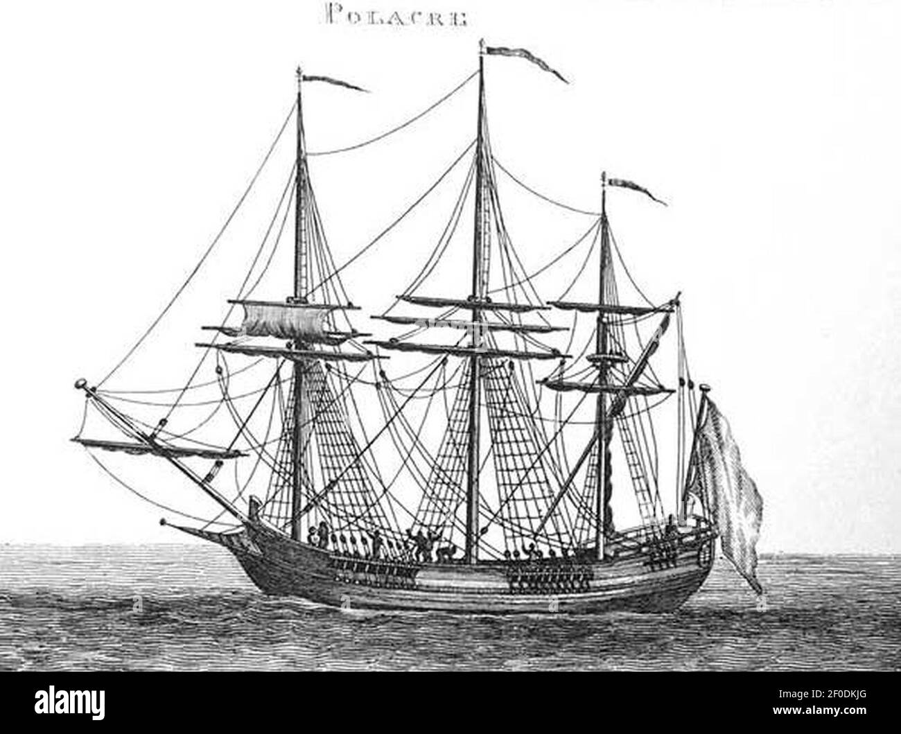 David steel hi-res stock photography and images - Alamy