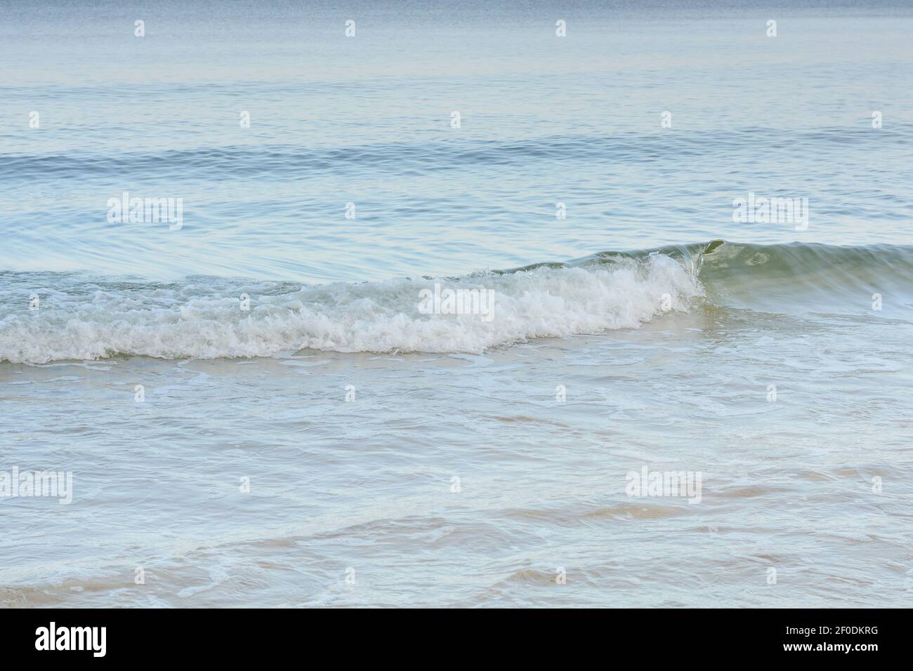 The wave rolls to the seashore hi-res stock photography and images - Alamy
