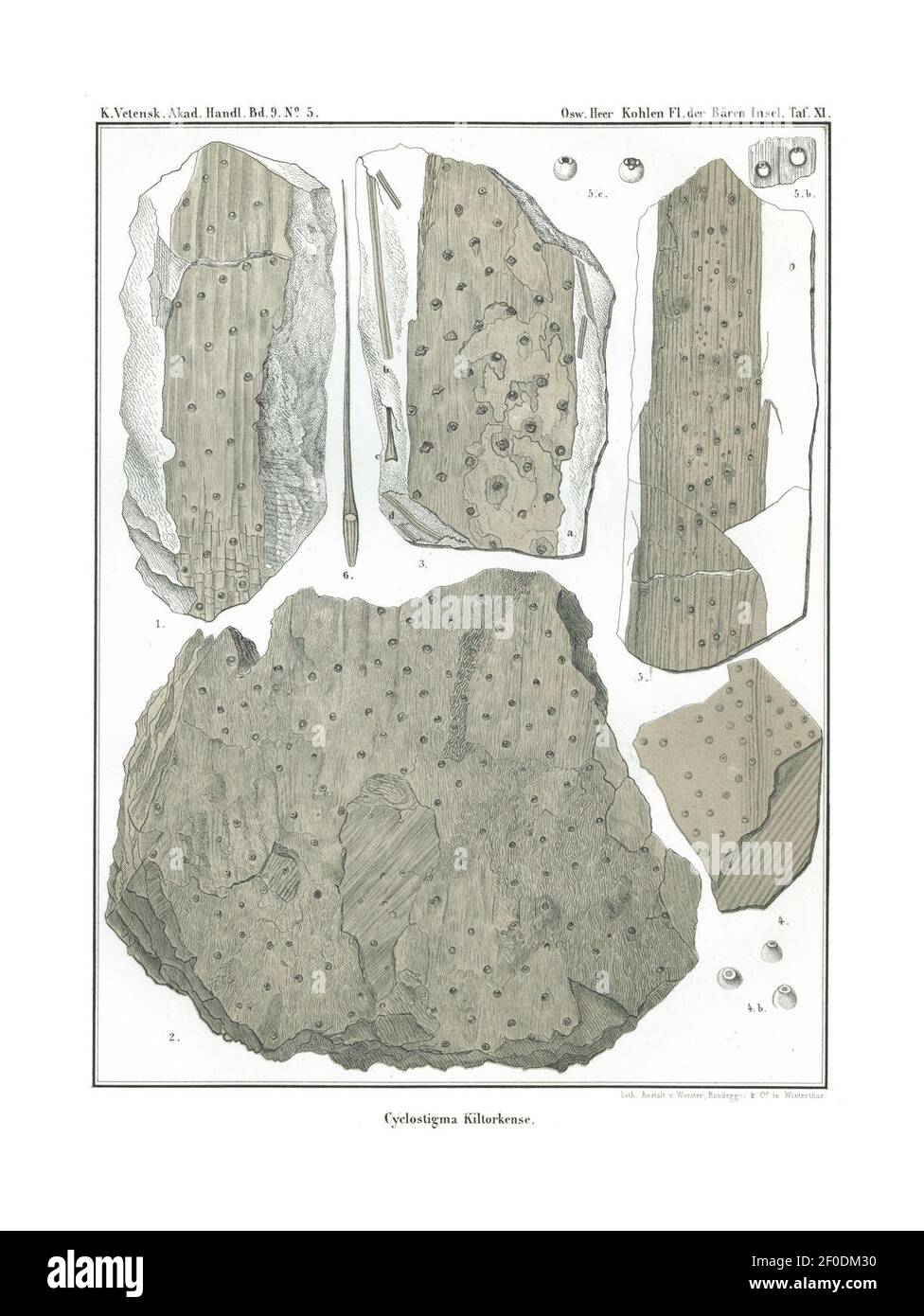 87 2 Cut Out Stock Images & Pictures - Alamy