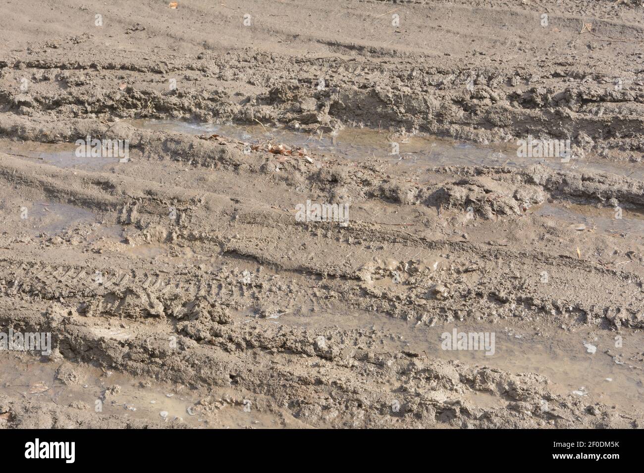 Car stuck in mud rain hi-res stock photography and images - Alamy