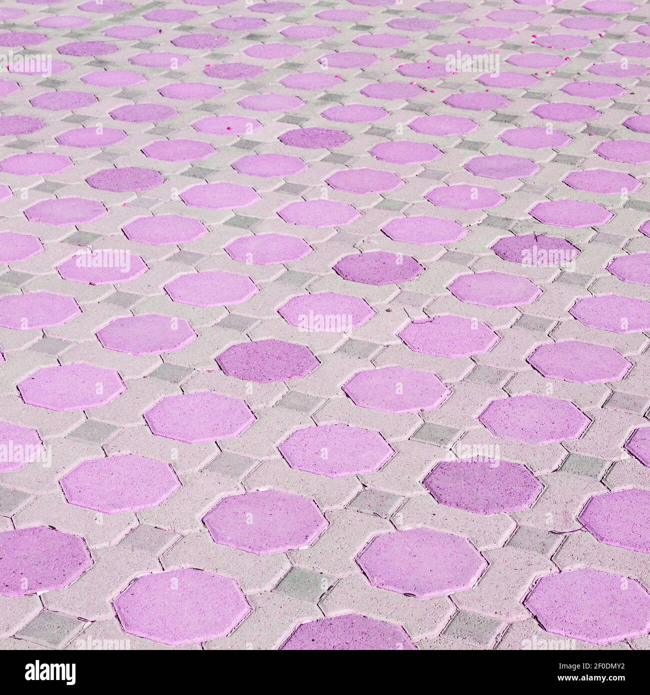 In oman abstract pavement in the old steet and colors Stock Photo - Alamy