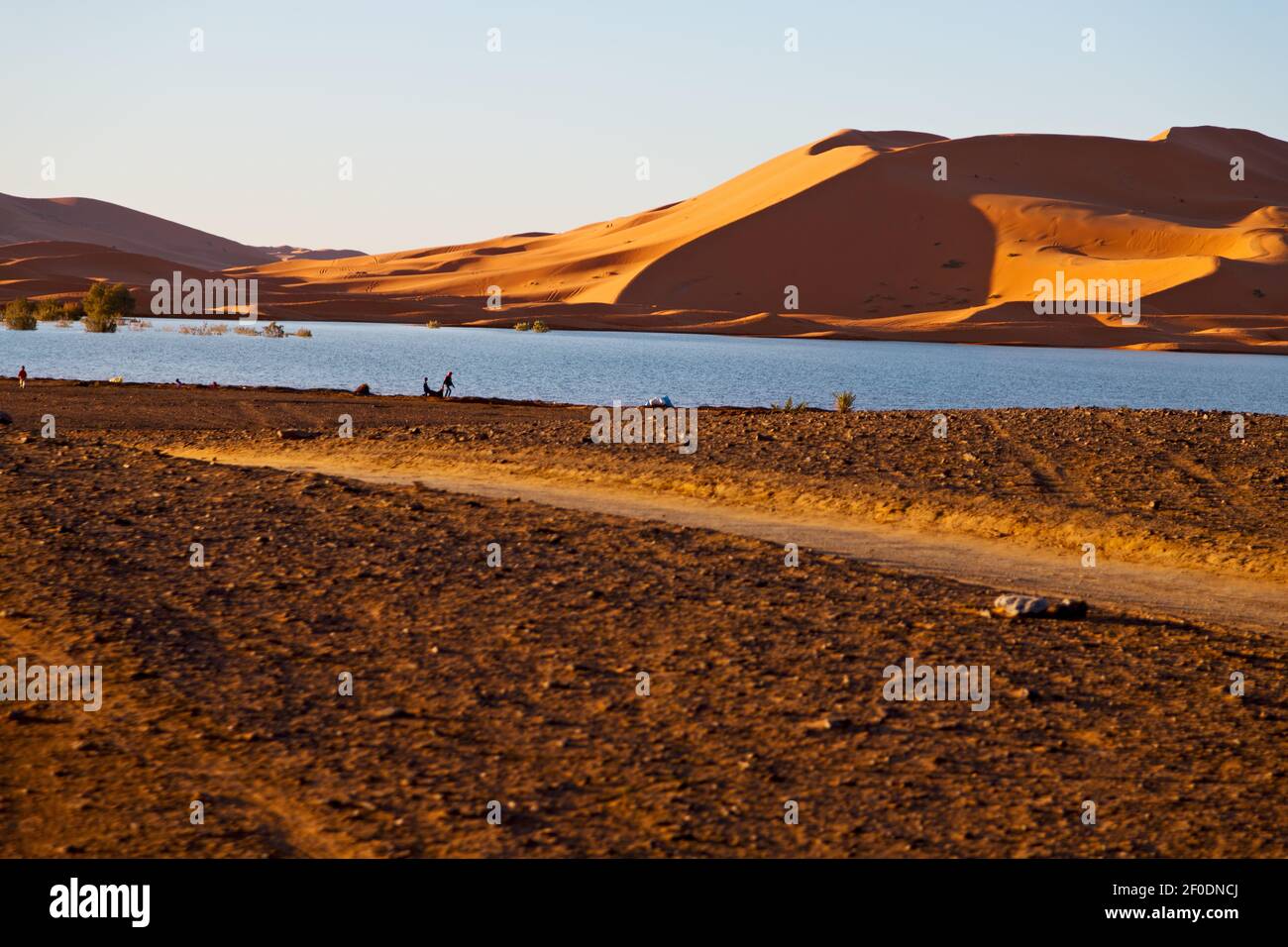 Sunshine in the lake yellow desert of morocco sand and dune Stock Photo ...