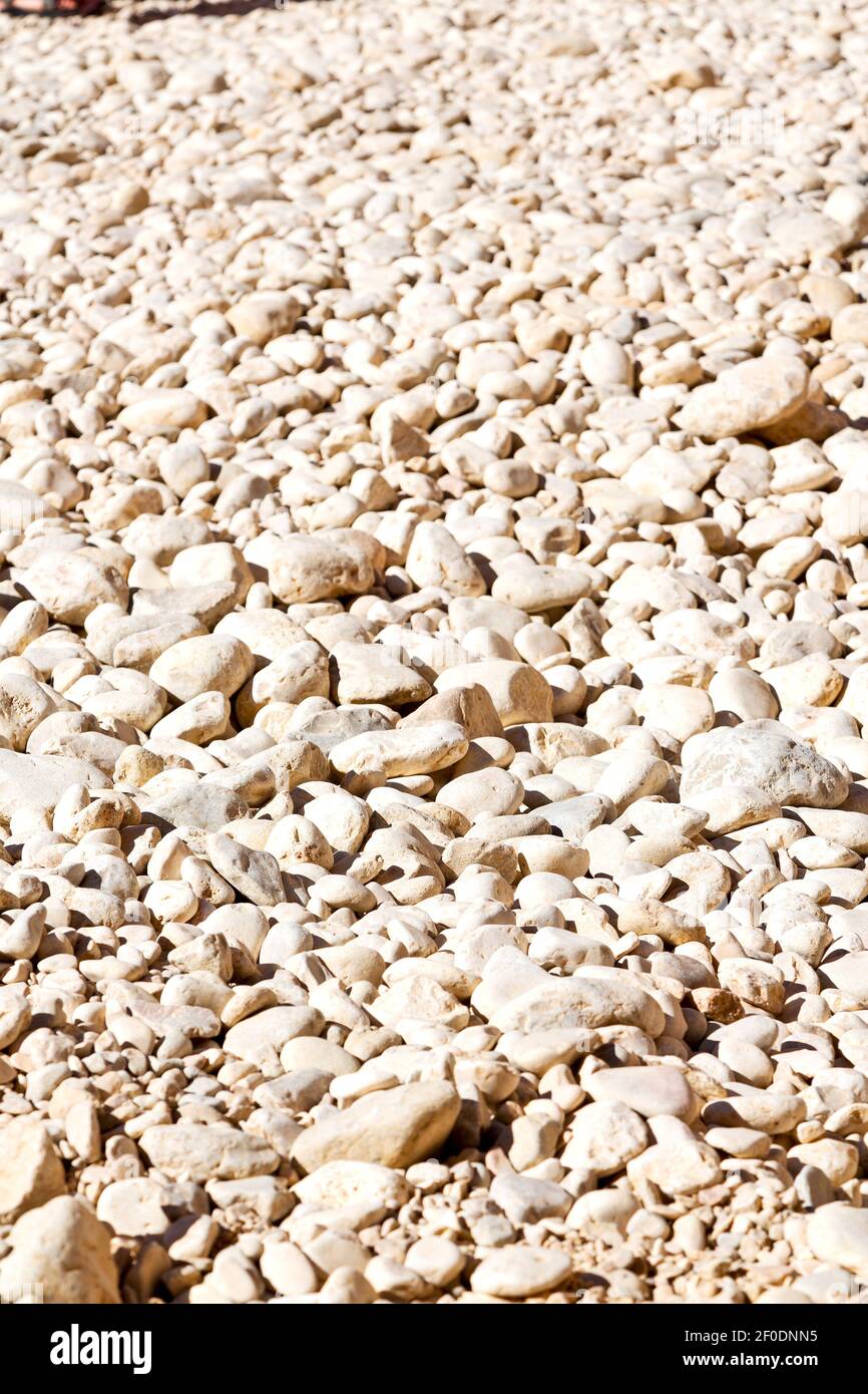 In oman dry bush gray Stock Photo - Alamy