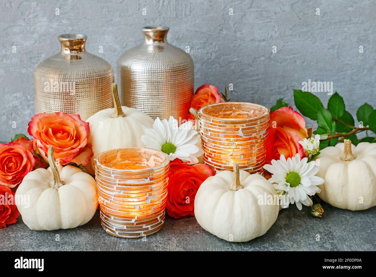 Elegant autumn home decoration with white pumpkins (baby boo), roses ...
