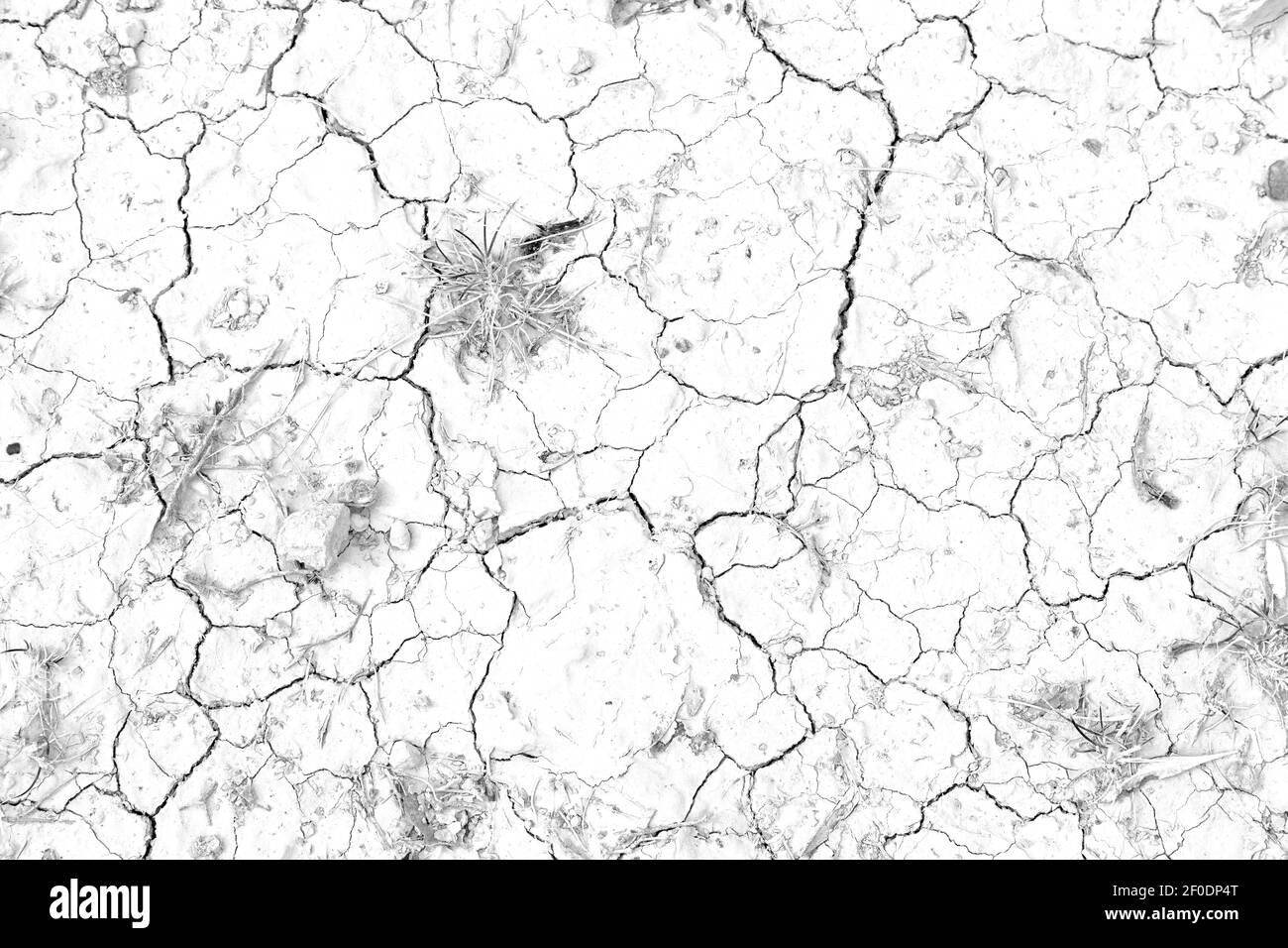 Cracked earth dry drought macro Black and White Stock Photos & Images ...