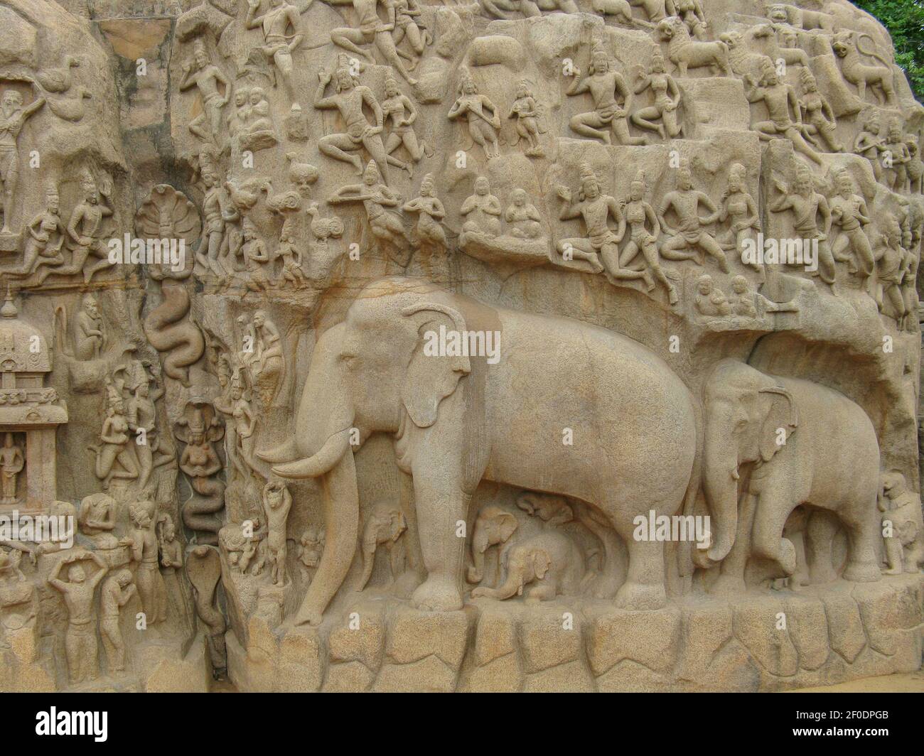 Elephants carved on stone wall hi-res stock photography and images - Alamy