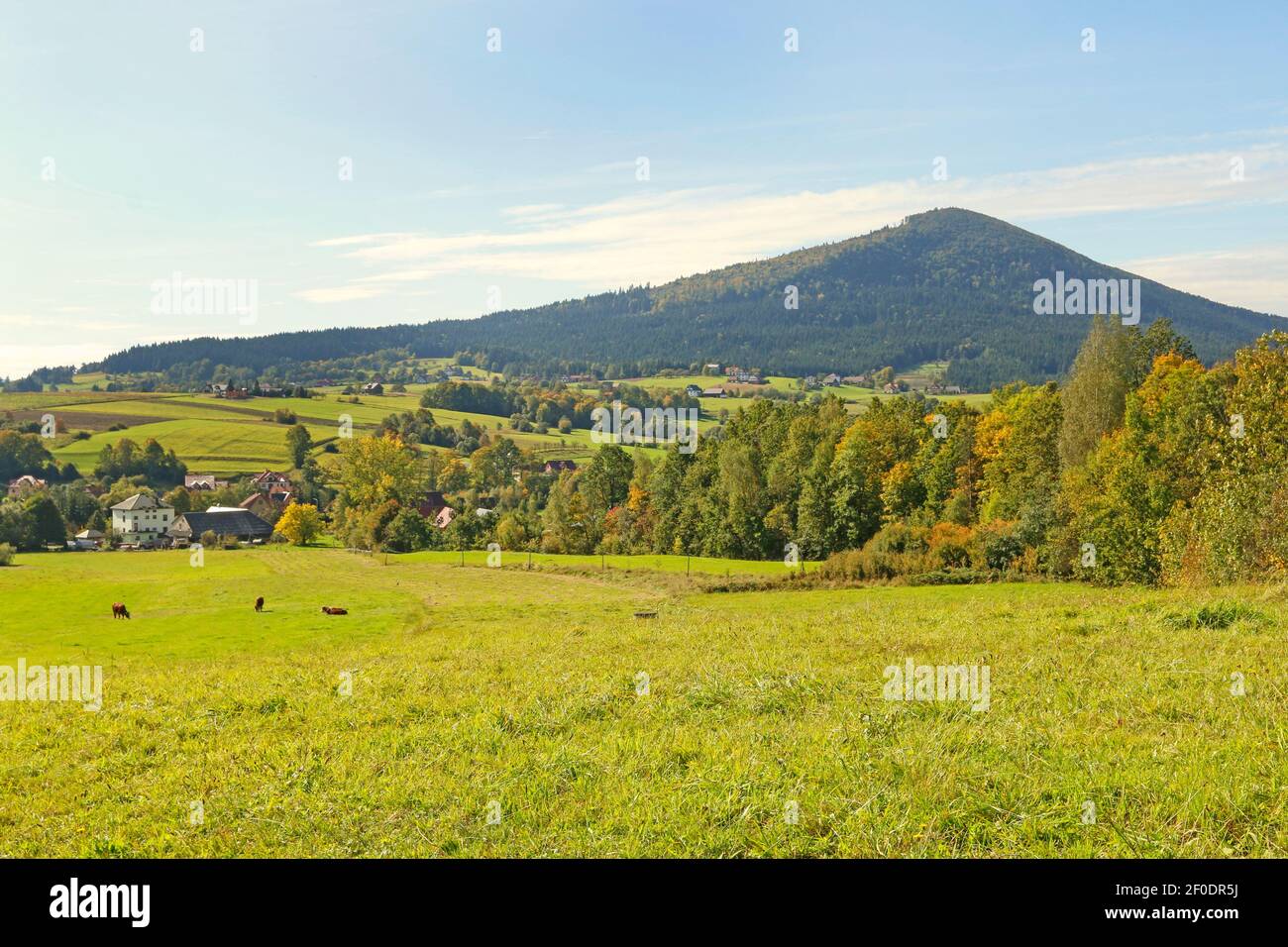 Polish rural landscape with orchards and green hills in the distance ...