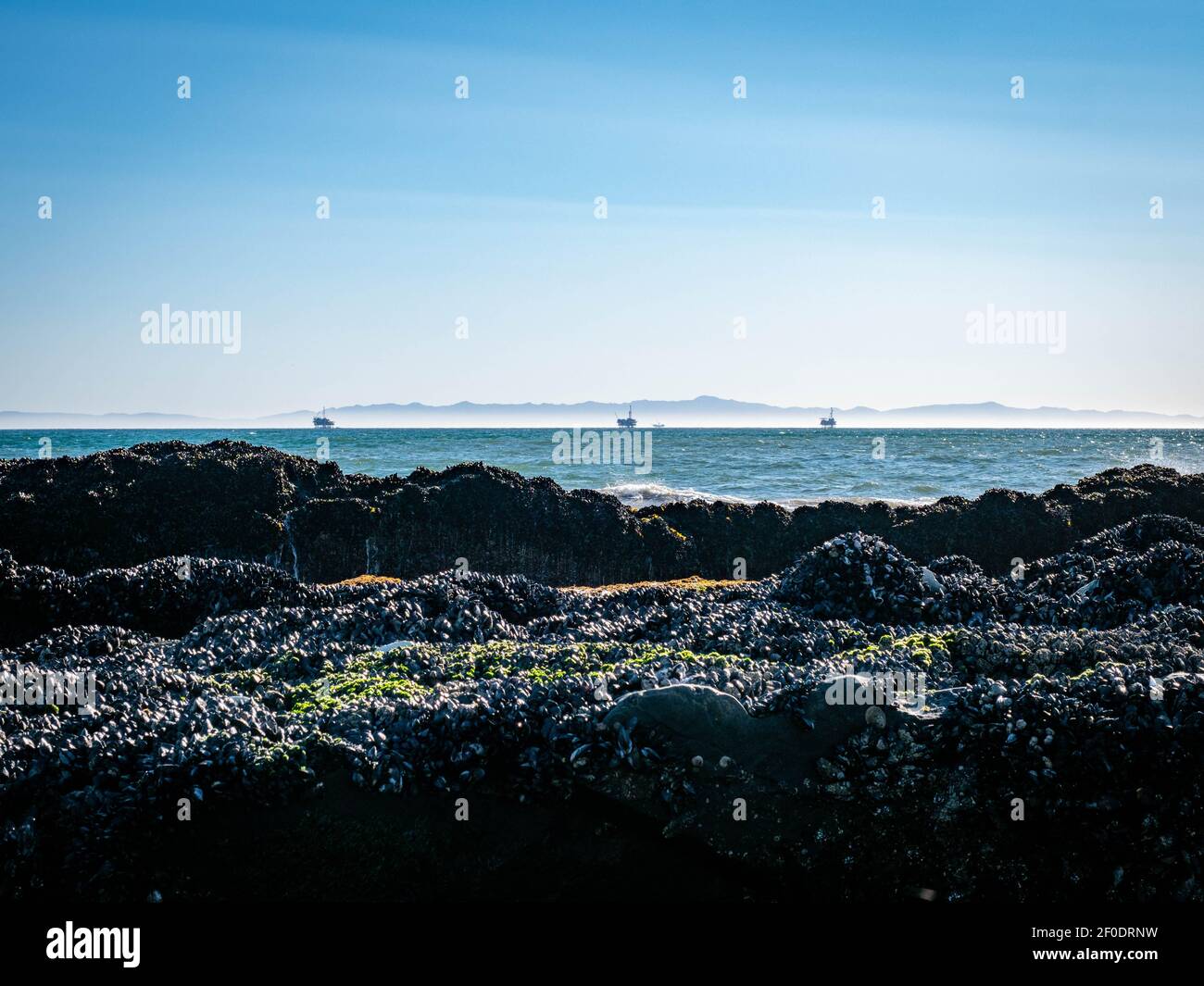 Intertidal platform hi-res stock photography and images - Alamy