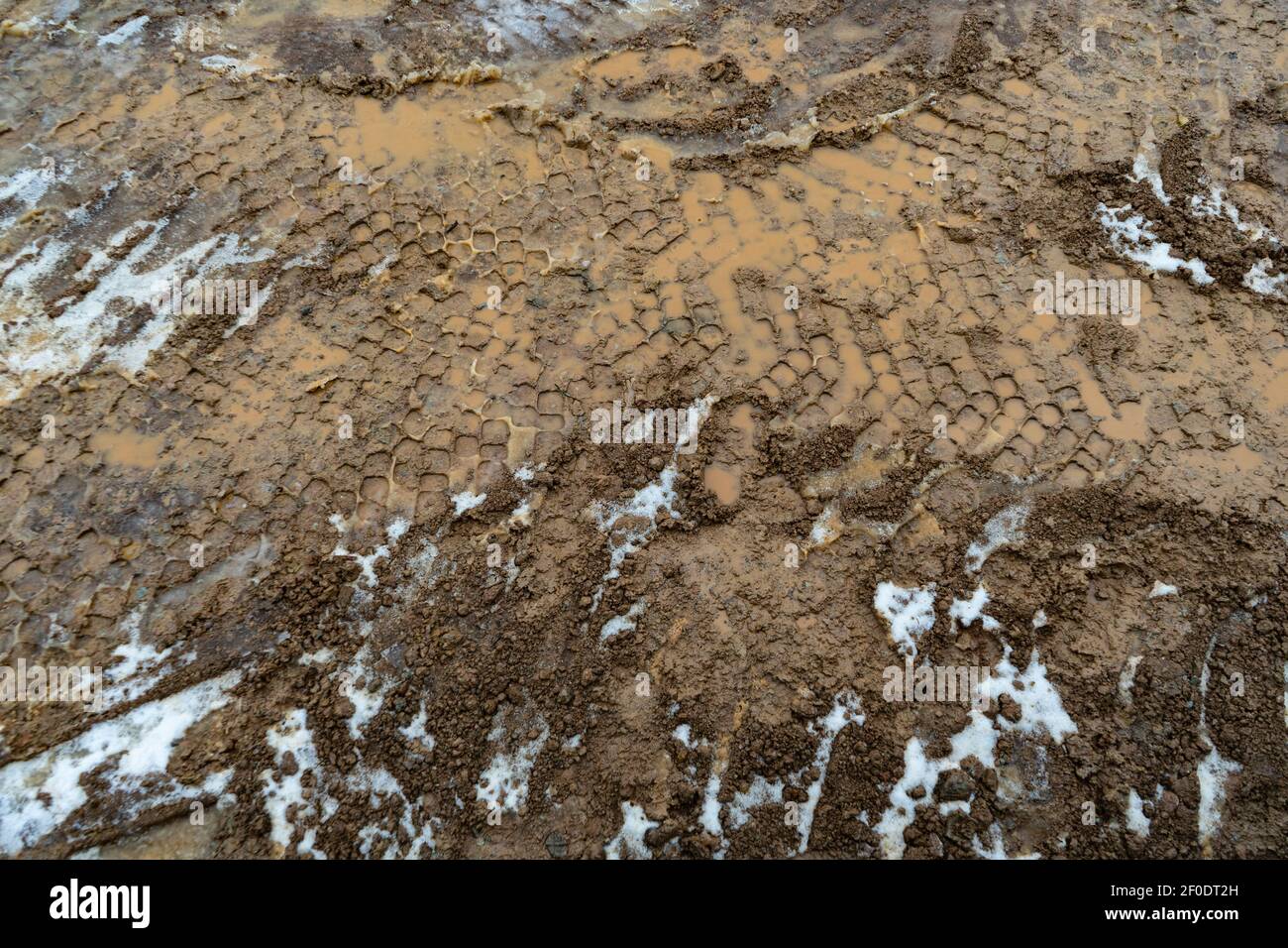 Mud impressions hi-res stock photography and images - Alamy