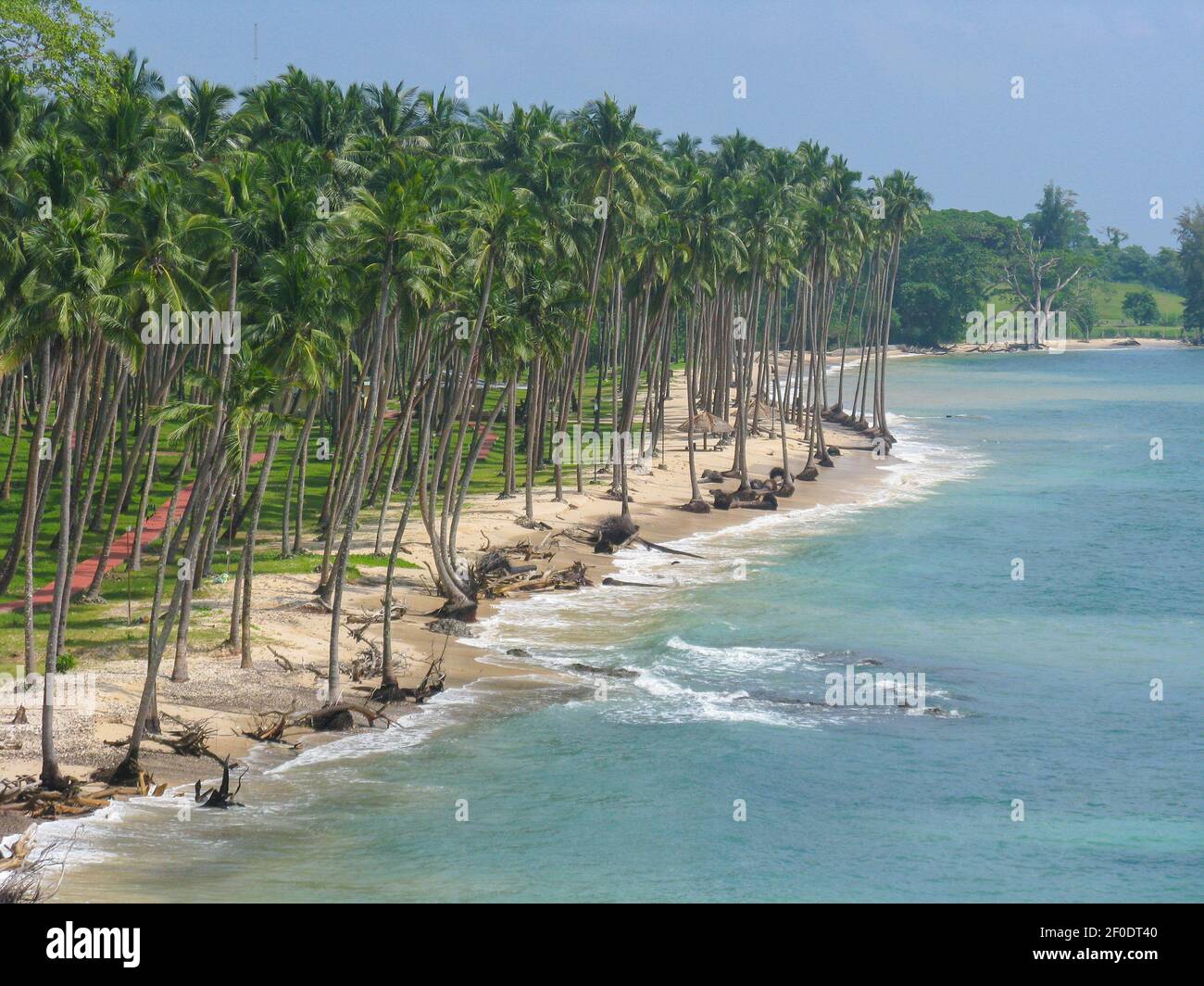 Coconut trees andaman nicobar islands hi-res stock photography and ...