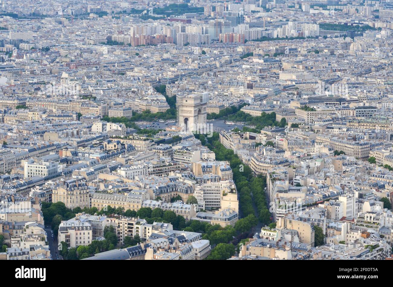 Horse chestnut trees paris hi-res stock photography and images - Alamy