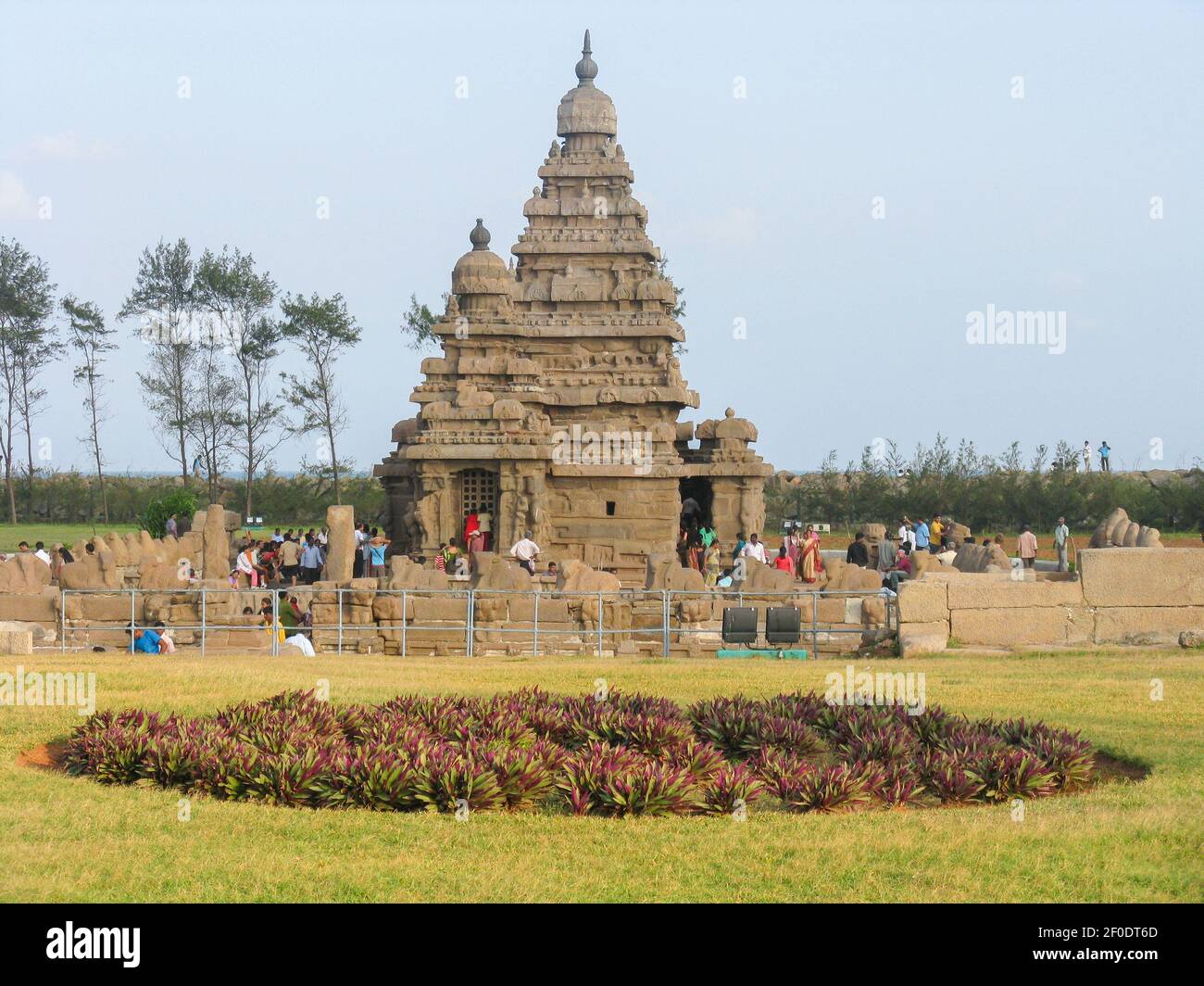 The famous Shore Temple with grass and trees around located on the sea ...