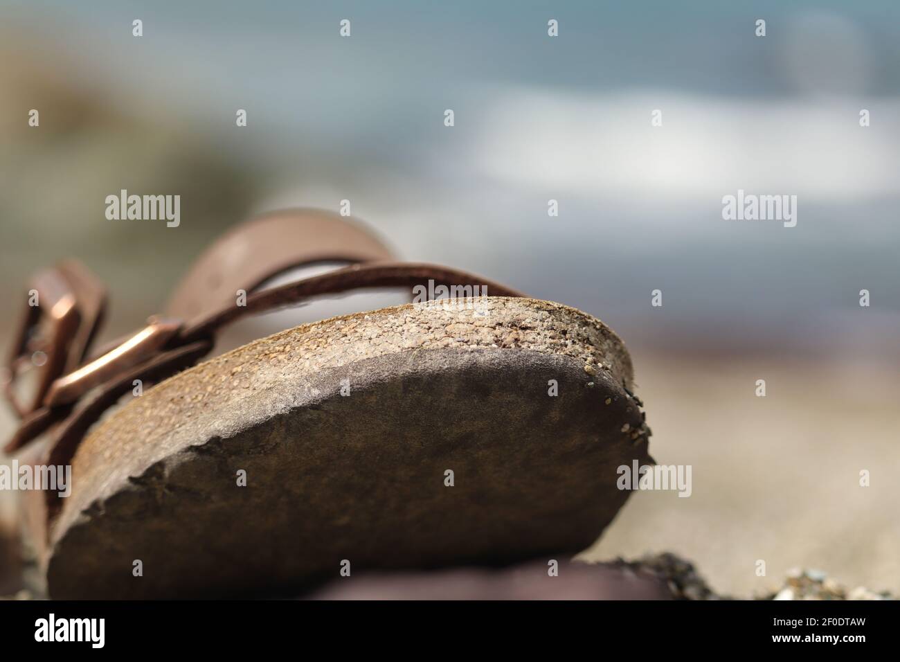 Spongy sand hi-res stock photography and images - Alamy