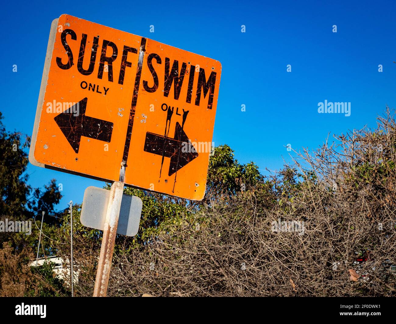 Surf and swim sign at the beach in California Stock Photo - Alamy