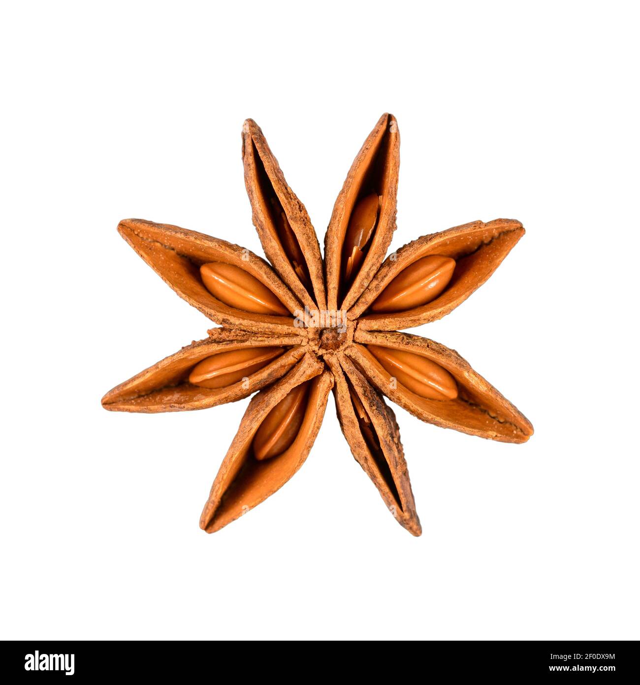 Star anise. Single star anise fruit. Macro close-up Isolated on white ...