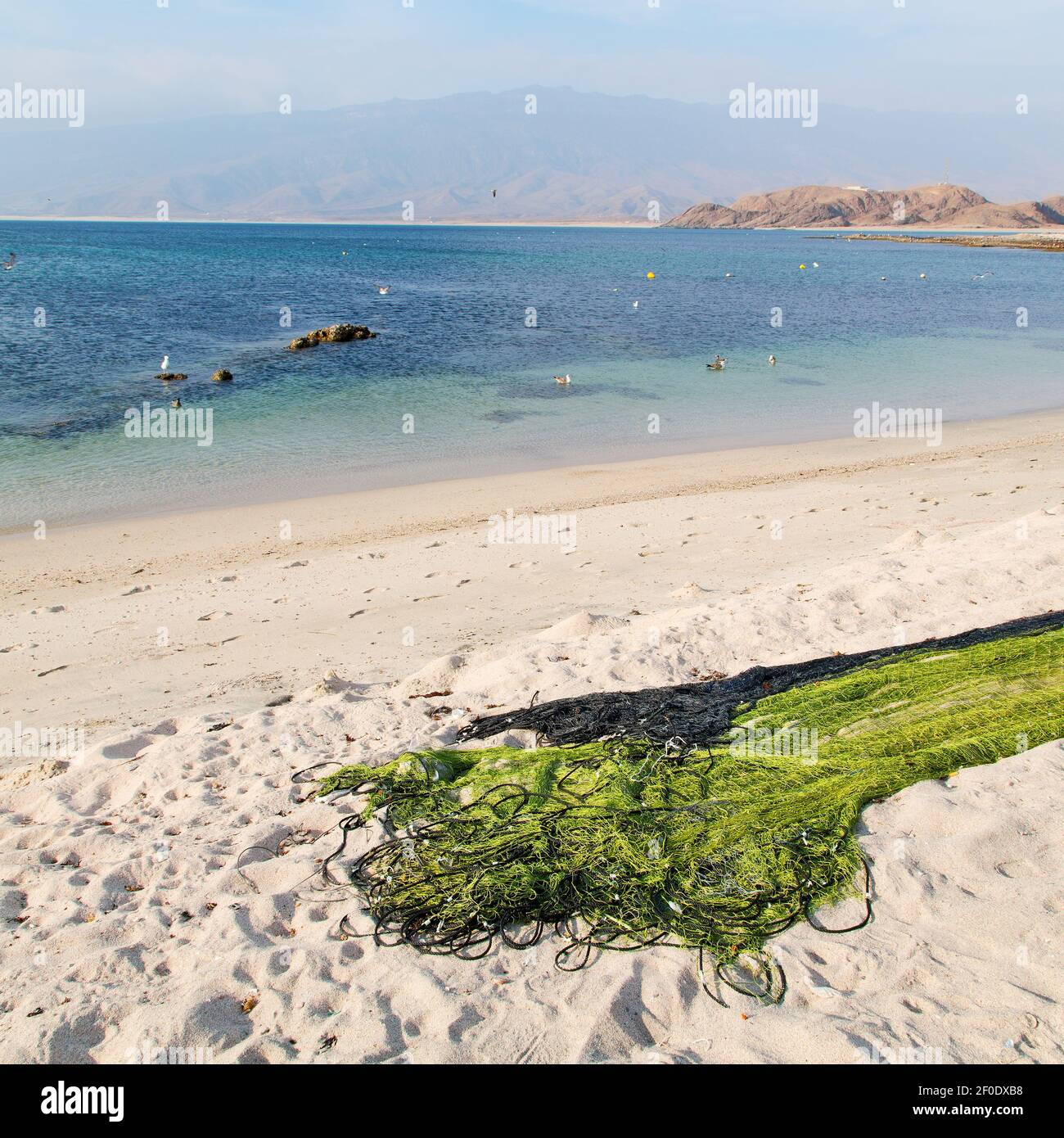 In oman arabic sea sandy beach Stock Photo - Alamy