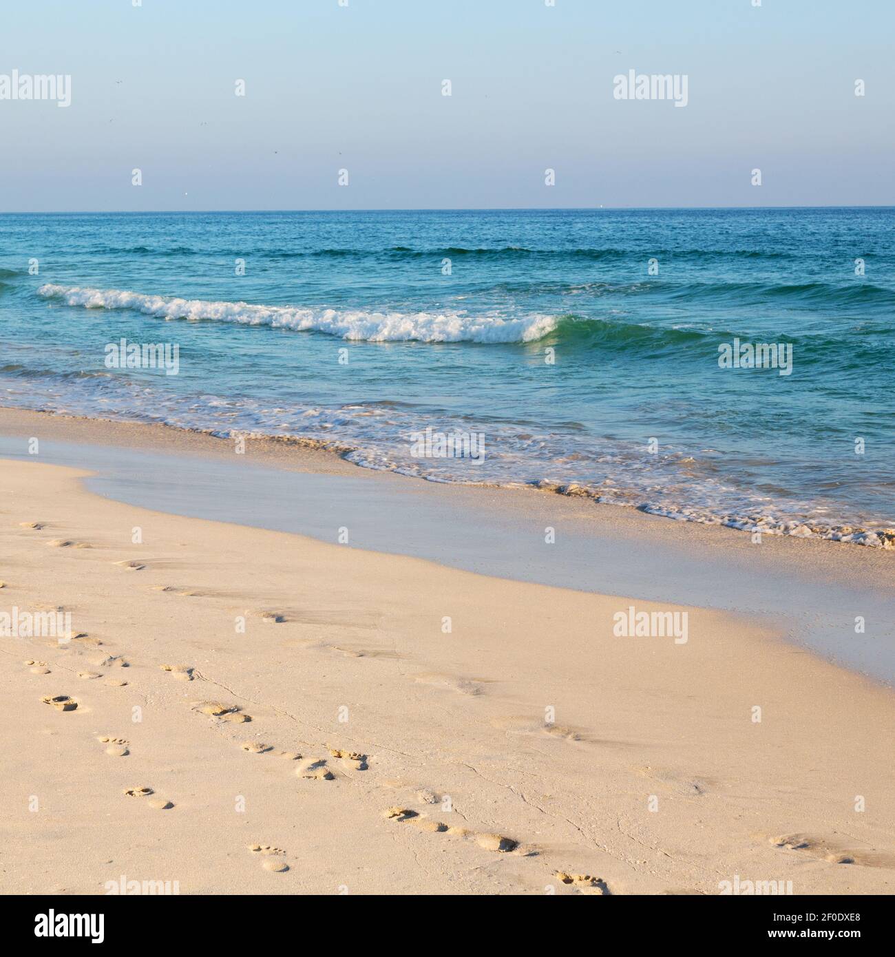 In oman arabic sea sandy beach Stock Photo - Alamy