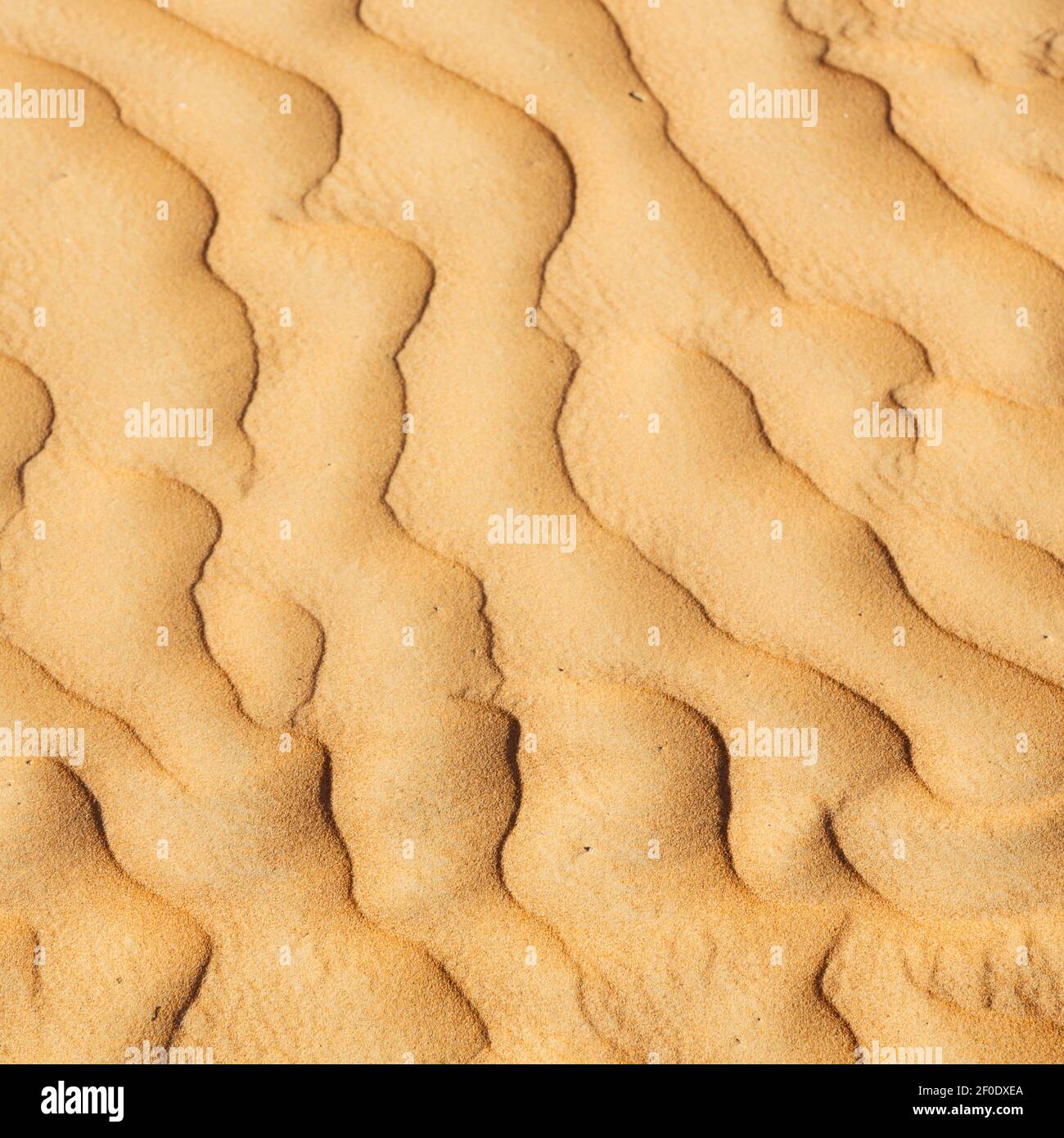 In oman the old desert and the empty quarter abstract texture line wave ...