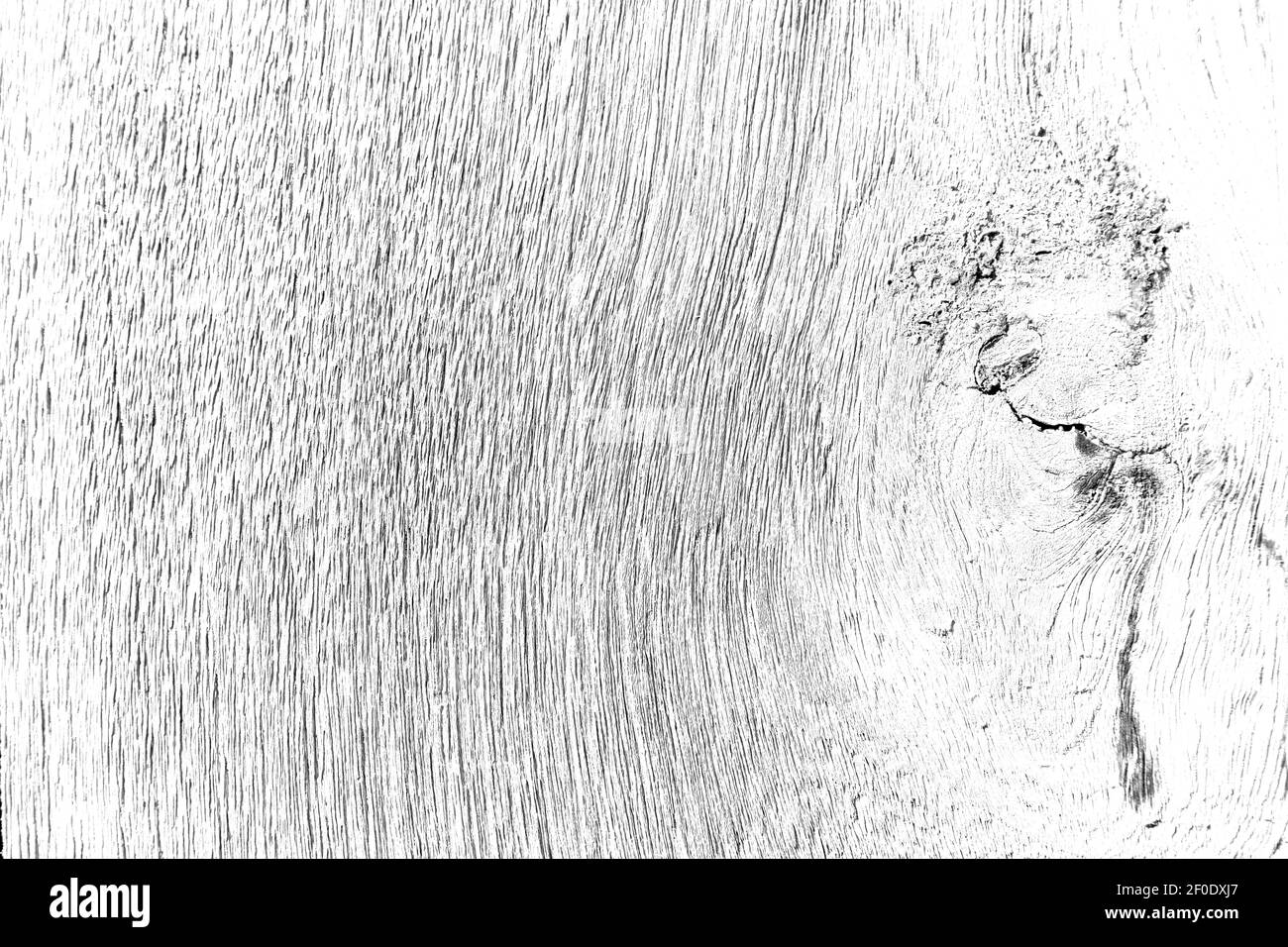 Abstract texture of a tree Stock Photo - Alamy