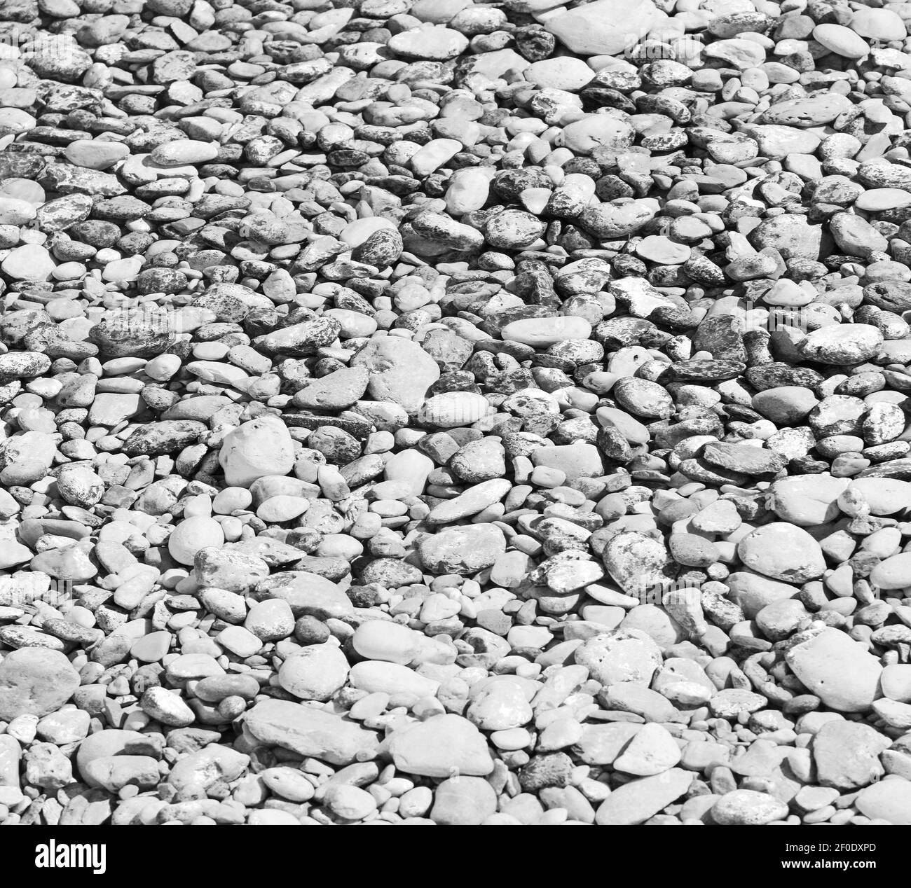 In oman old river and stone Stock Photo - Alamy