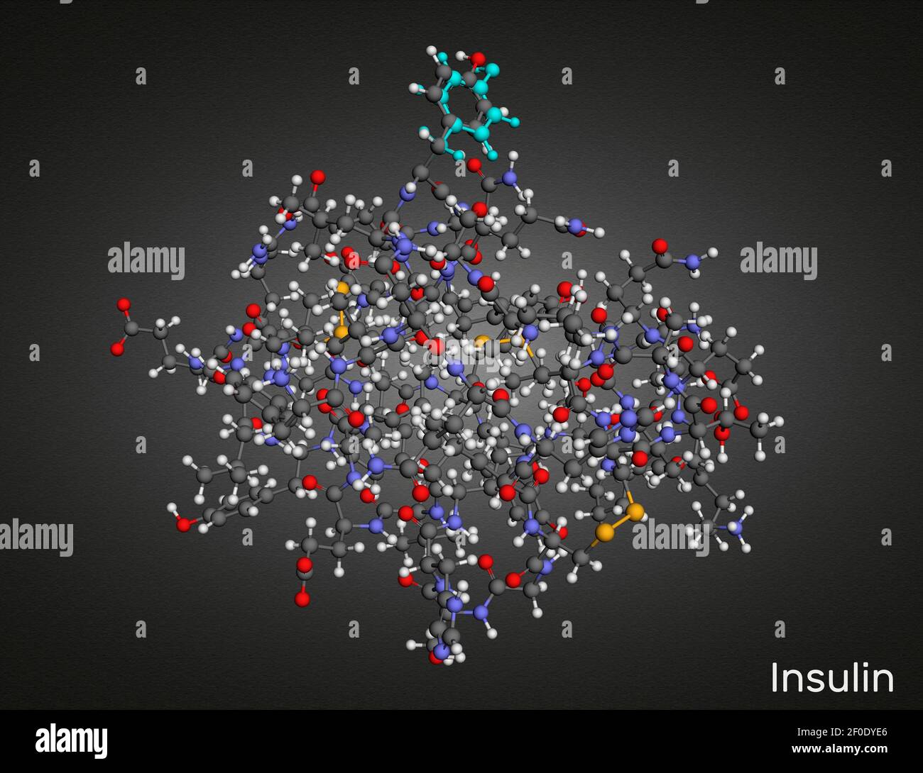 Human Insulin molecule. It is peptide hormone, produced by beta cells of the pancreas, used for ...