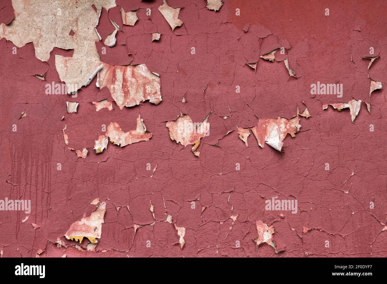 Old red paint is peeling off the wall Stock Photo - Alamy