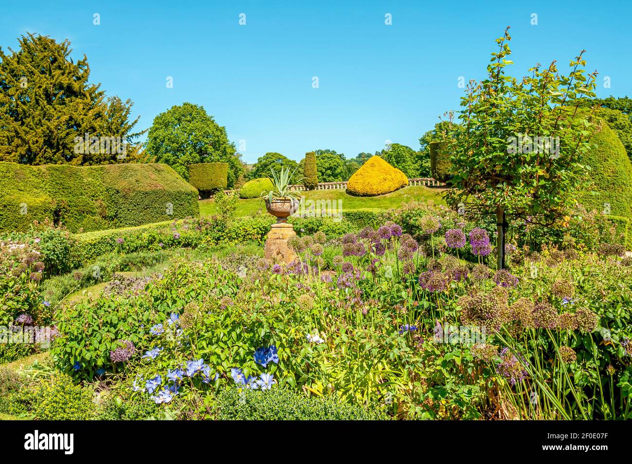 English castle flower hi-res stock photography and images - Alamy