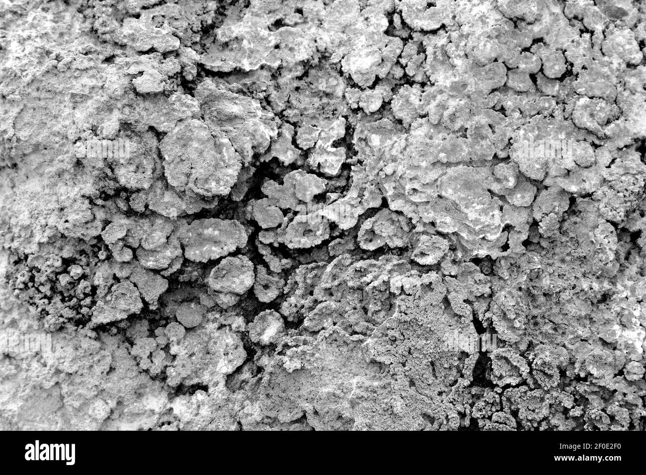 In oman rub al khali old desert and the abstract cracked sand texture ...