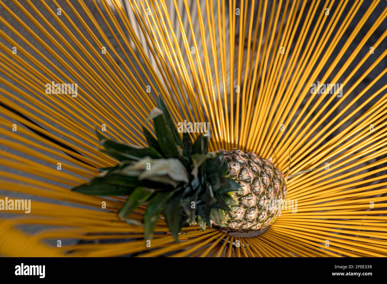 Pineapple. Ananas comosus. One ananas with yellow background ...