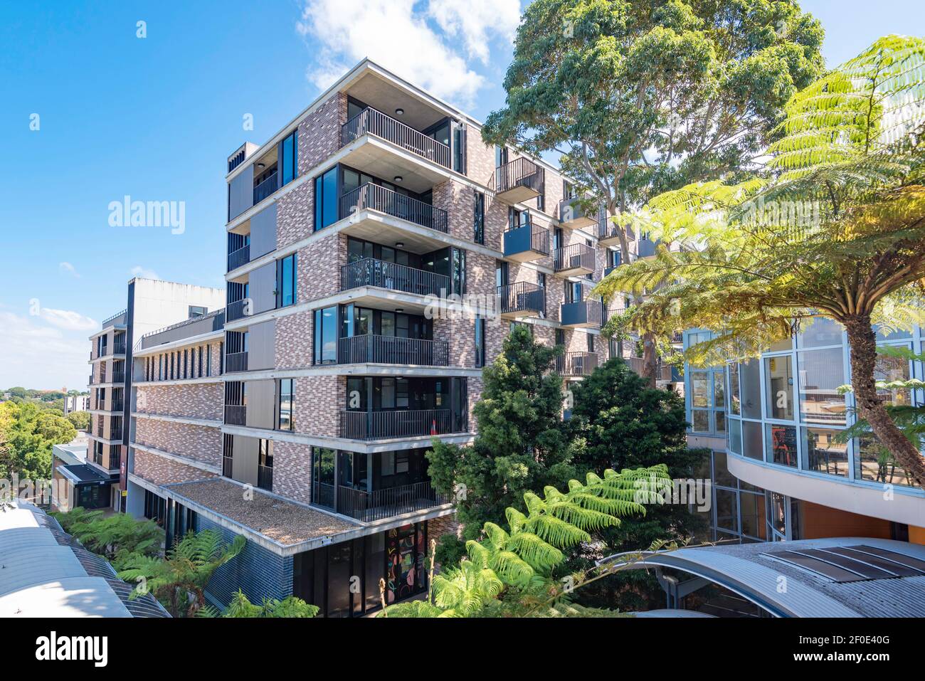 The muticoloured brickwork of the 2014 award winning, Goldstein College ...