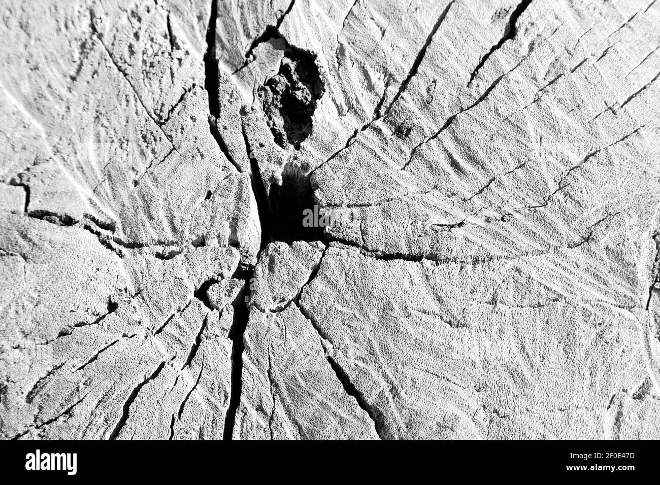 Split timber texture Black and White Stock Photos & Images - Alamy