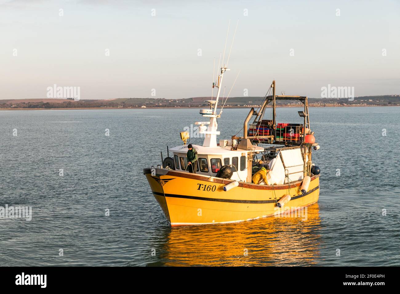 Irish cod hi-res stock photography and images - Alamy