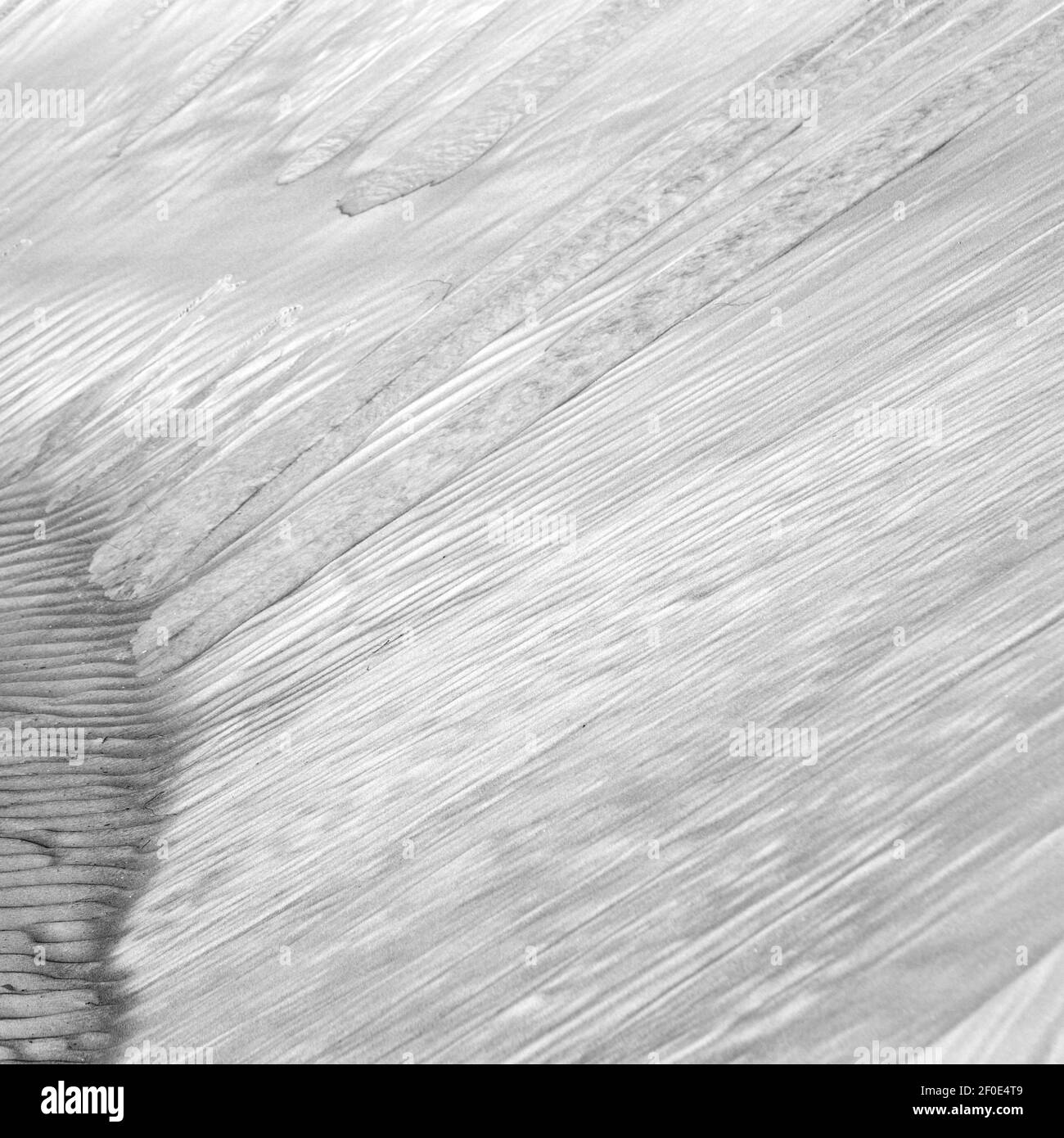In oman the old desert and the empty quarter abstract texture line wave ...
