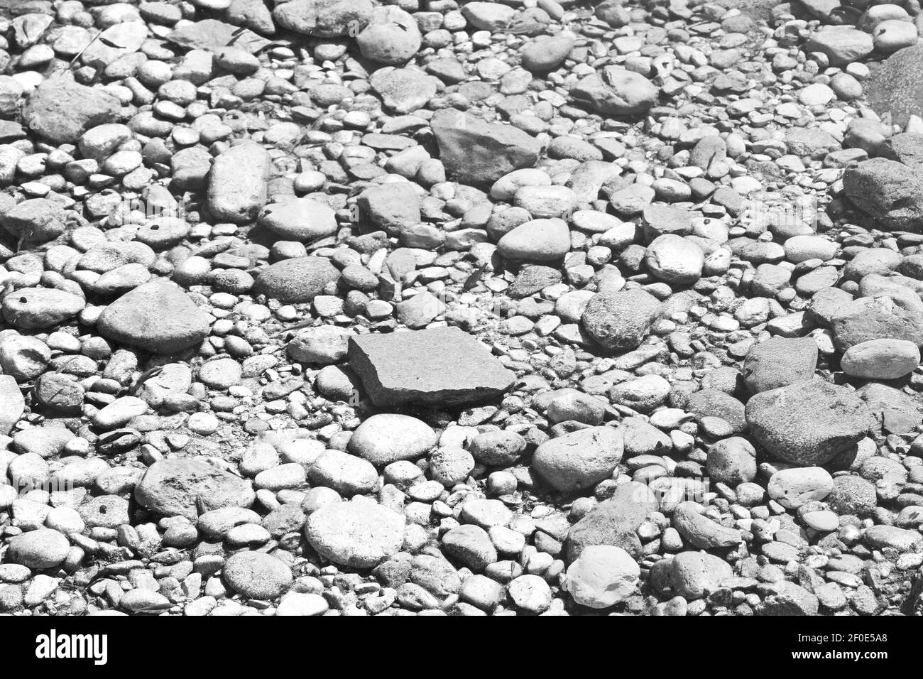 In oman old river and stone Stock Photo - Alamy