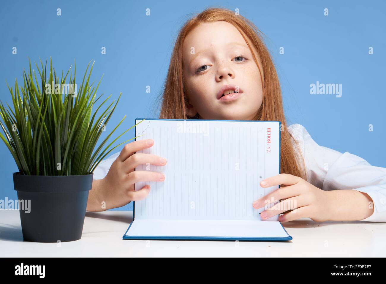 student at school desk doing homework education childhood Stock Photo ...