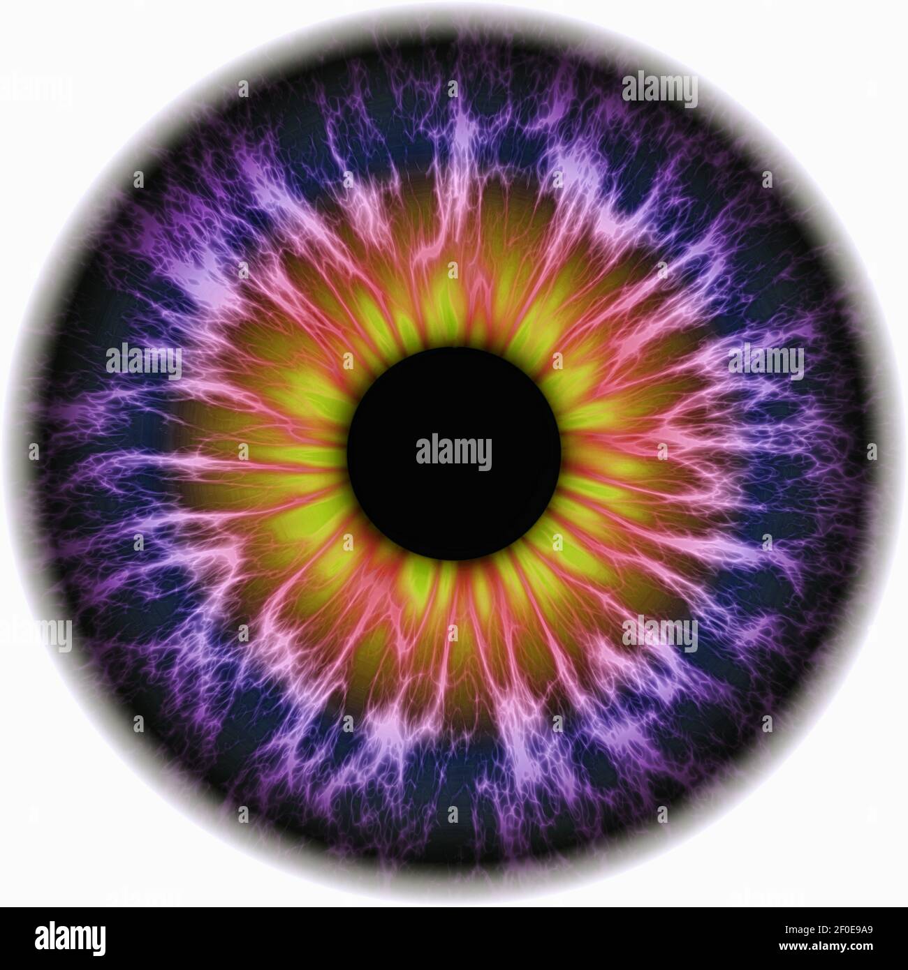 Illustration of a human iris Stock Photo - Alamy