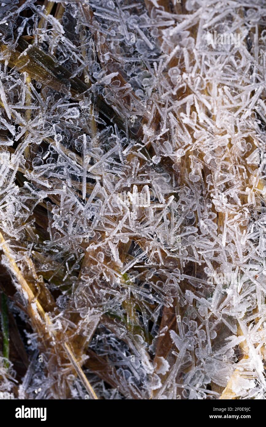 Wonderful macro ice crystals, cold formations Stock Photo - Alamy