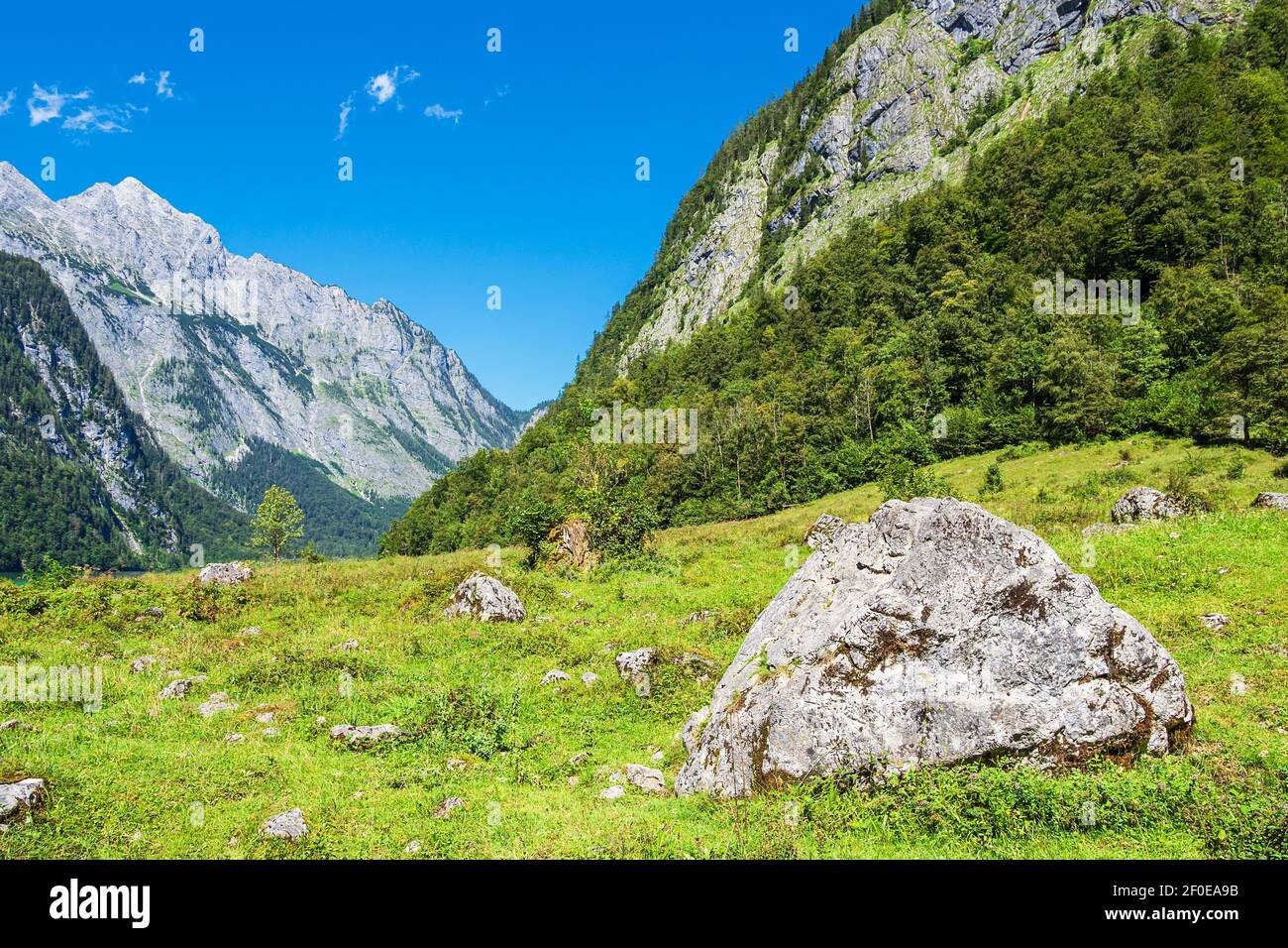 Landscape with rocks and trees in the Berchtesgaden Alps, Germany Stock ...