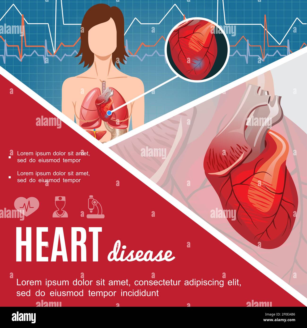 Colorful medical poster with heart anatomy and woman body in cartoon ...
