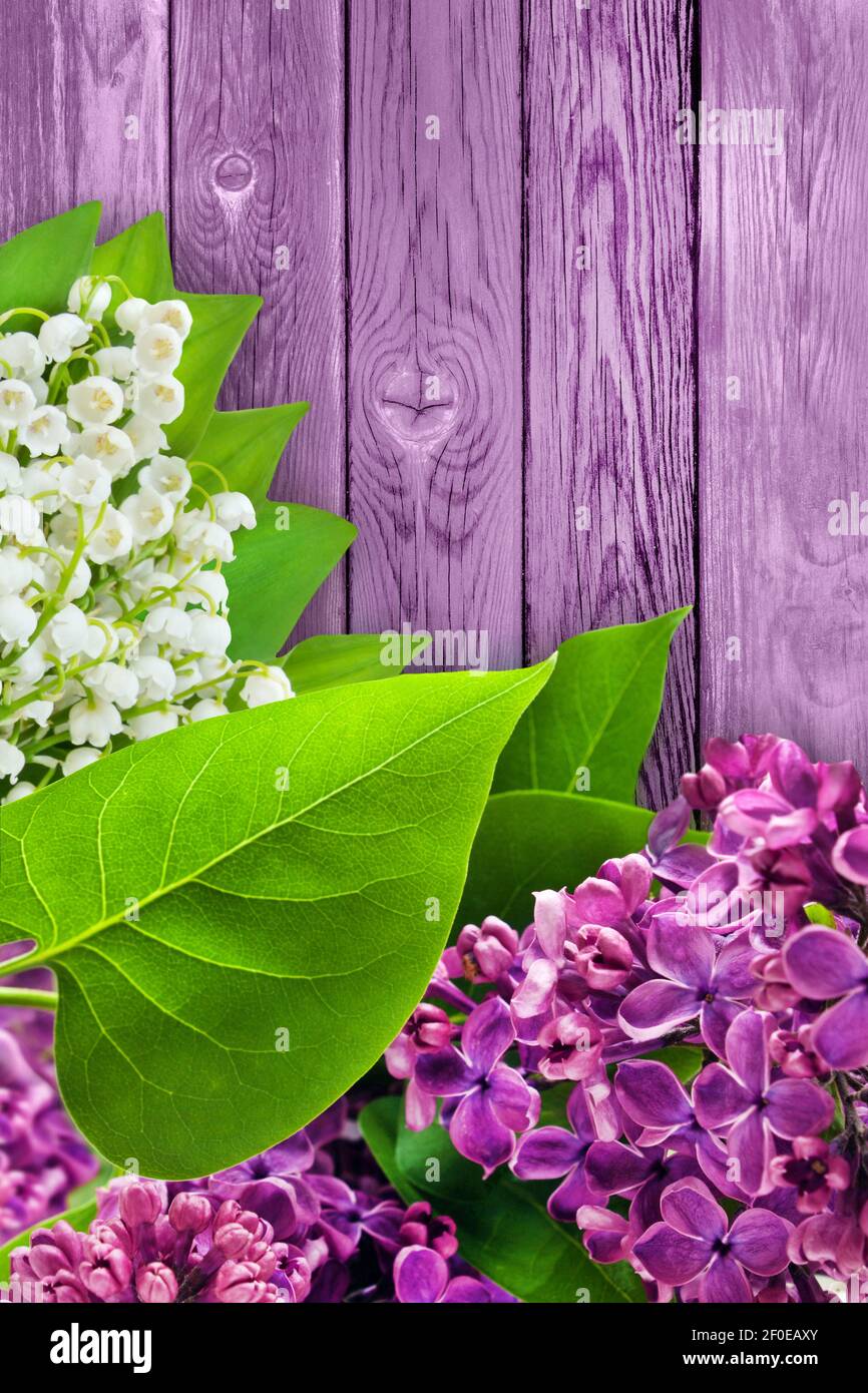 Vintage lily of the valley hi-res stock photography and images - Alamy