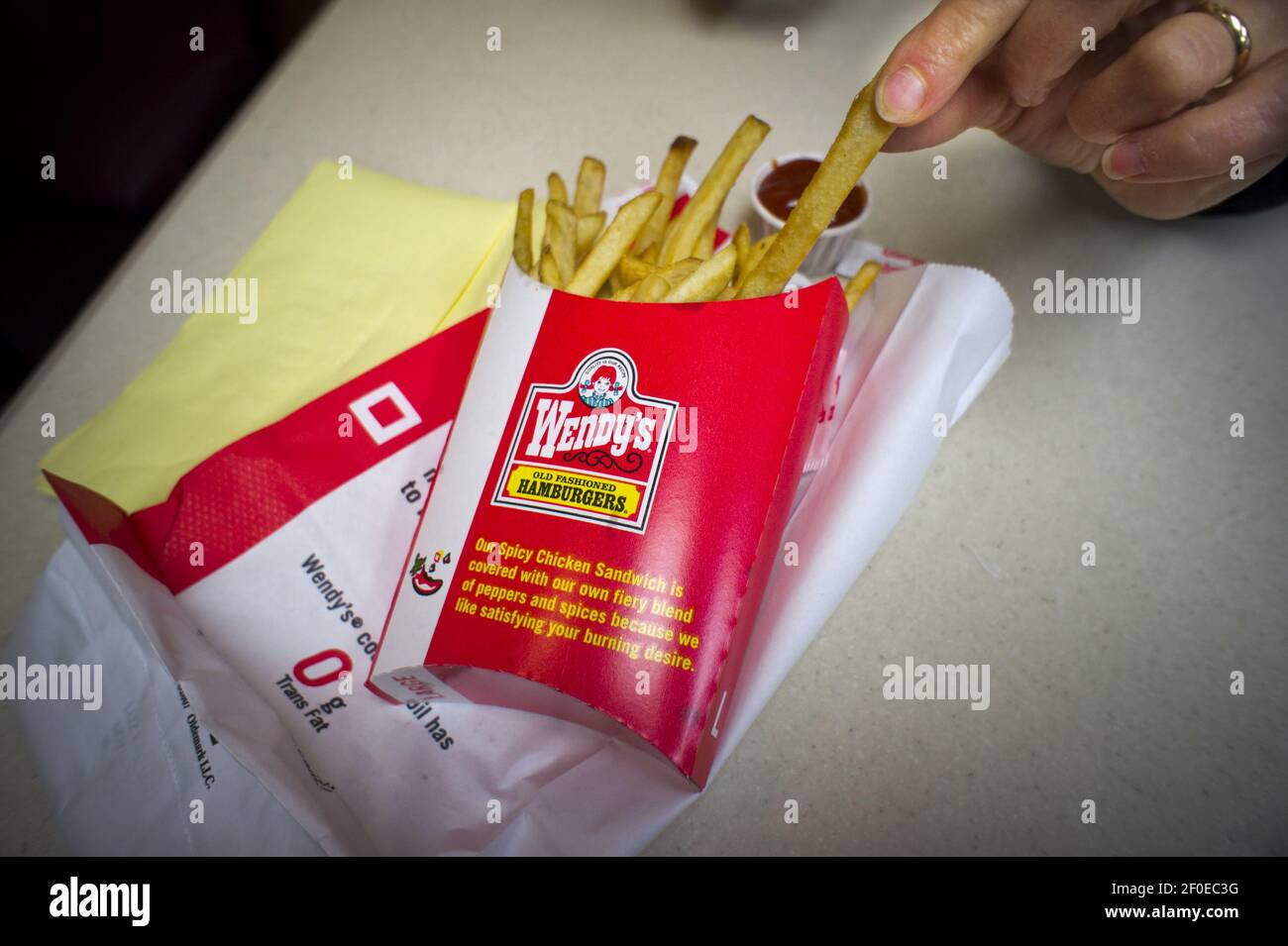 A large serving of Wendy's new french fries is seen on Monday, December ...