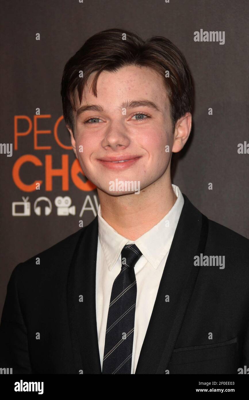 06 January 2010- Los Angeles, California- Actor Chris Colfer arrives at ...