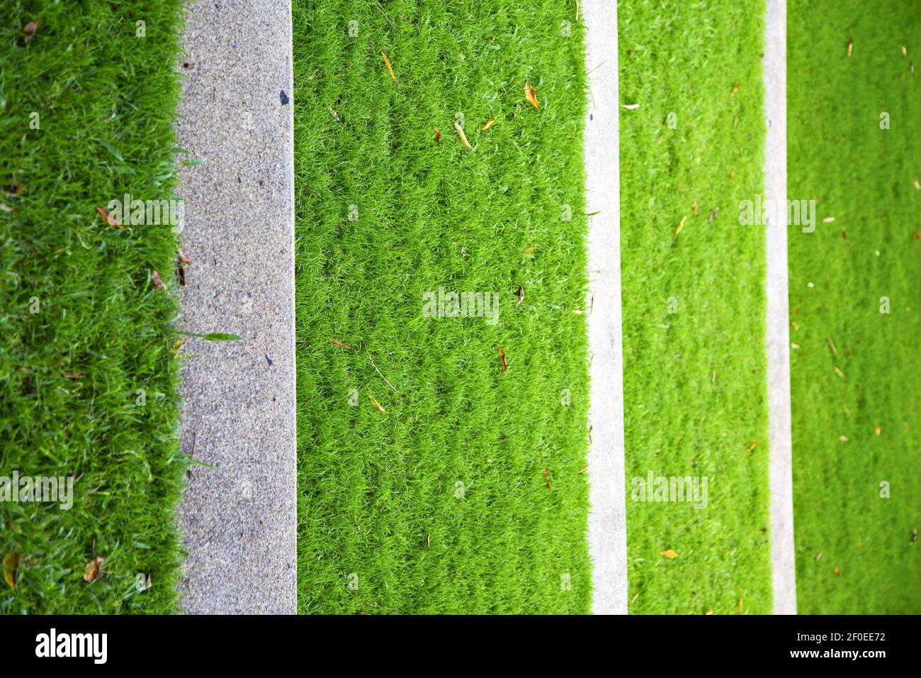 In thailand asia garden grass the temple bangkok Stock Photo - Alamy