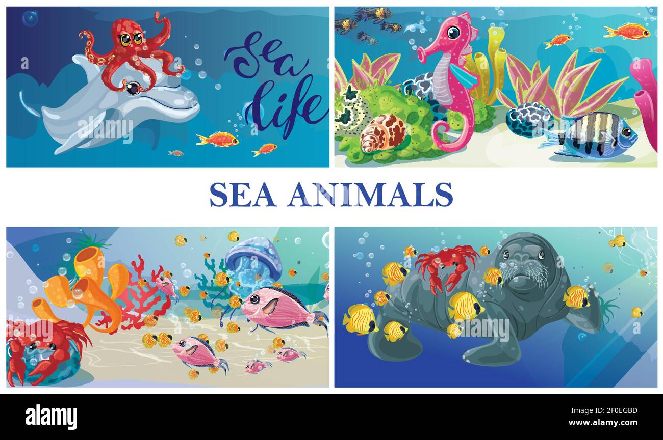 Cartoon sea underwater life concept with dolphin octopus seahorse seal ...