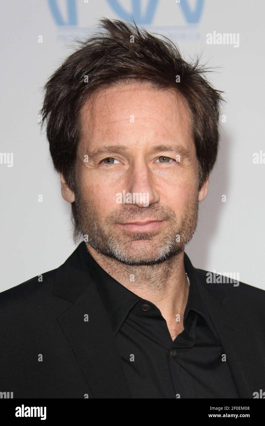 24 January 2010- Hollywood, California- Actor David Duchovny arrives at ...