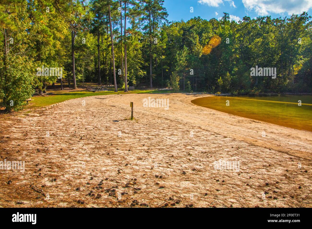 View of a man made beach lake shore line with green trees and blue sky ...